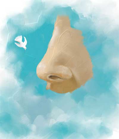 Parts of the face / Deli obraza